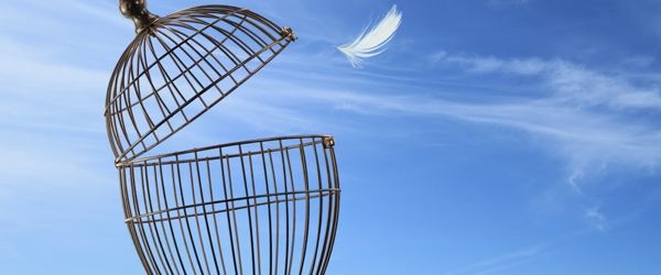 Why stories need to be liberated – Security Catalyst